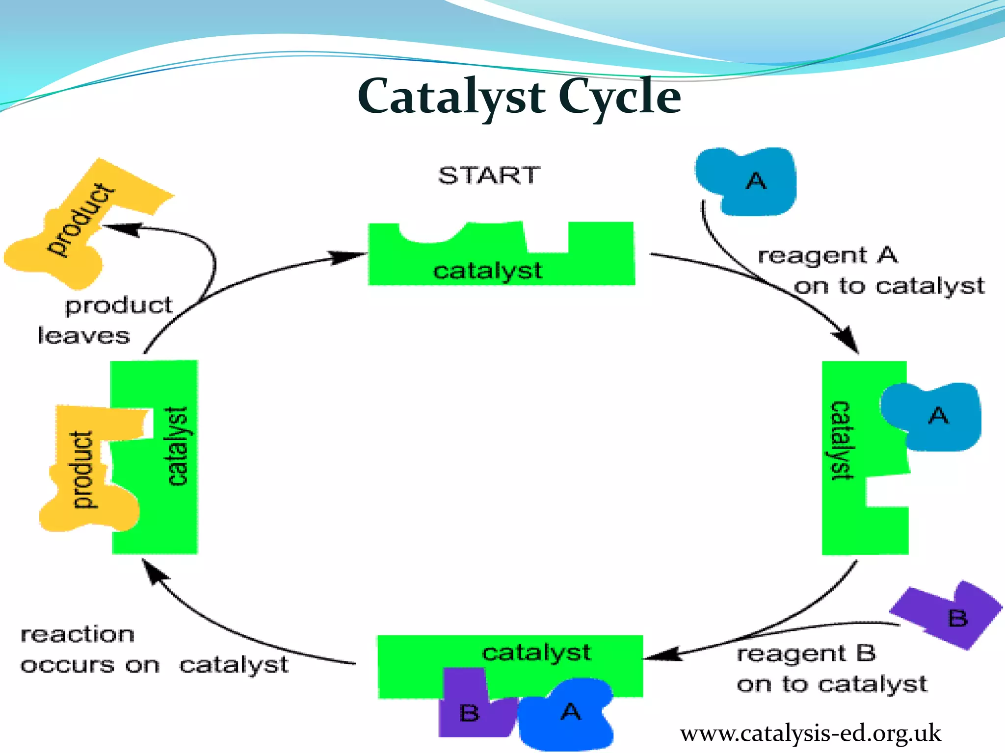 What is catalysis, its type and its application | PDF