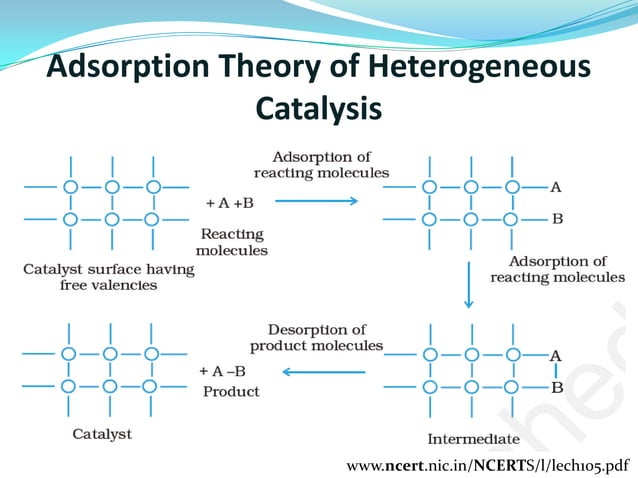 What is catalysis, its type and its application | PDF | Chemistry | Science