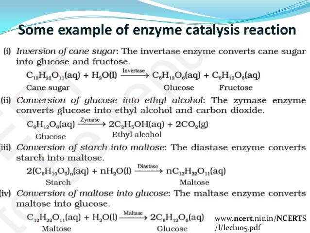 Chem Enzyme Examples