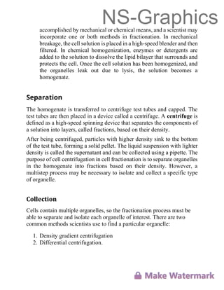 What is Cell Fractionation & Procedure for B.Sc. Biotechnology/Botany | PDF