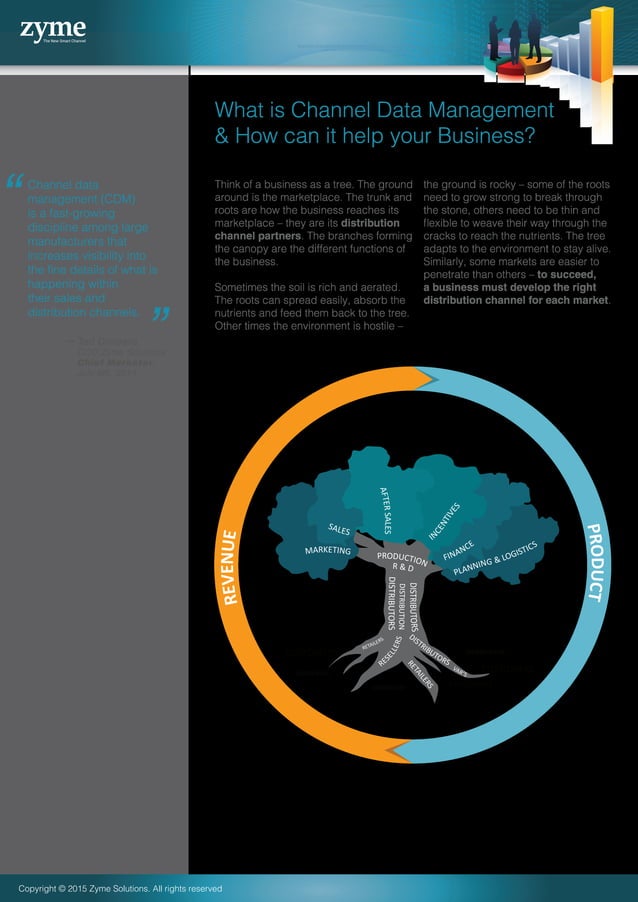 What is Channel Data Management and How can it help your Business? | PDF