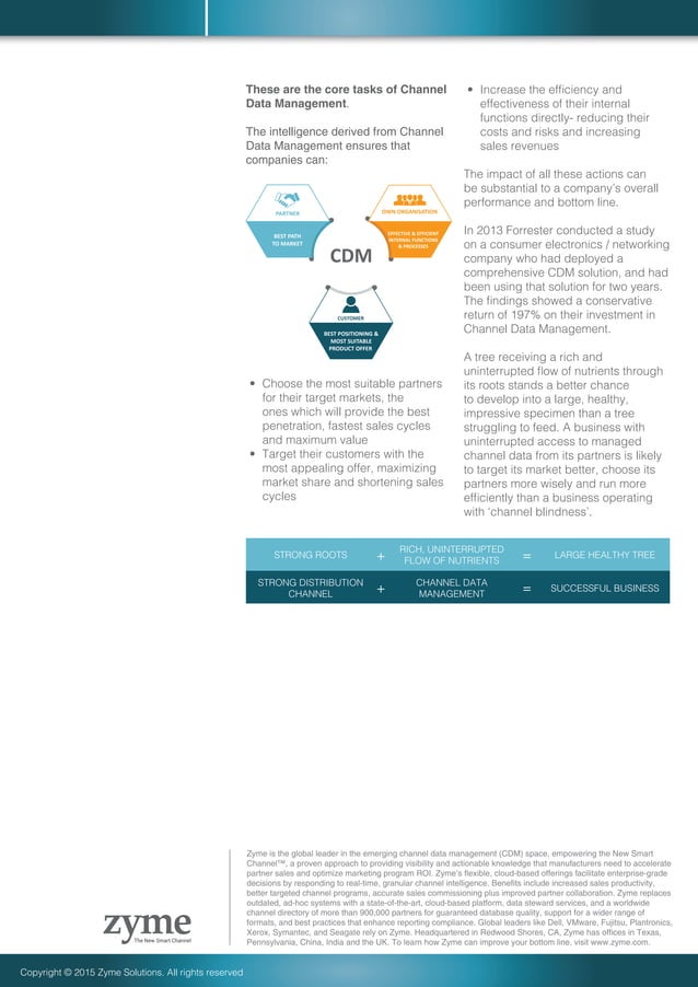 What is Channel Data Management and How can it help your Business? | PDF