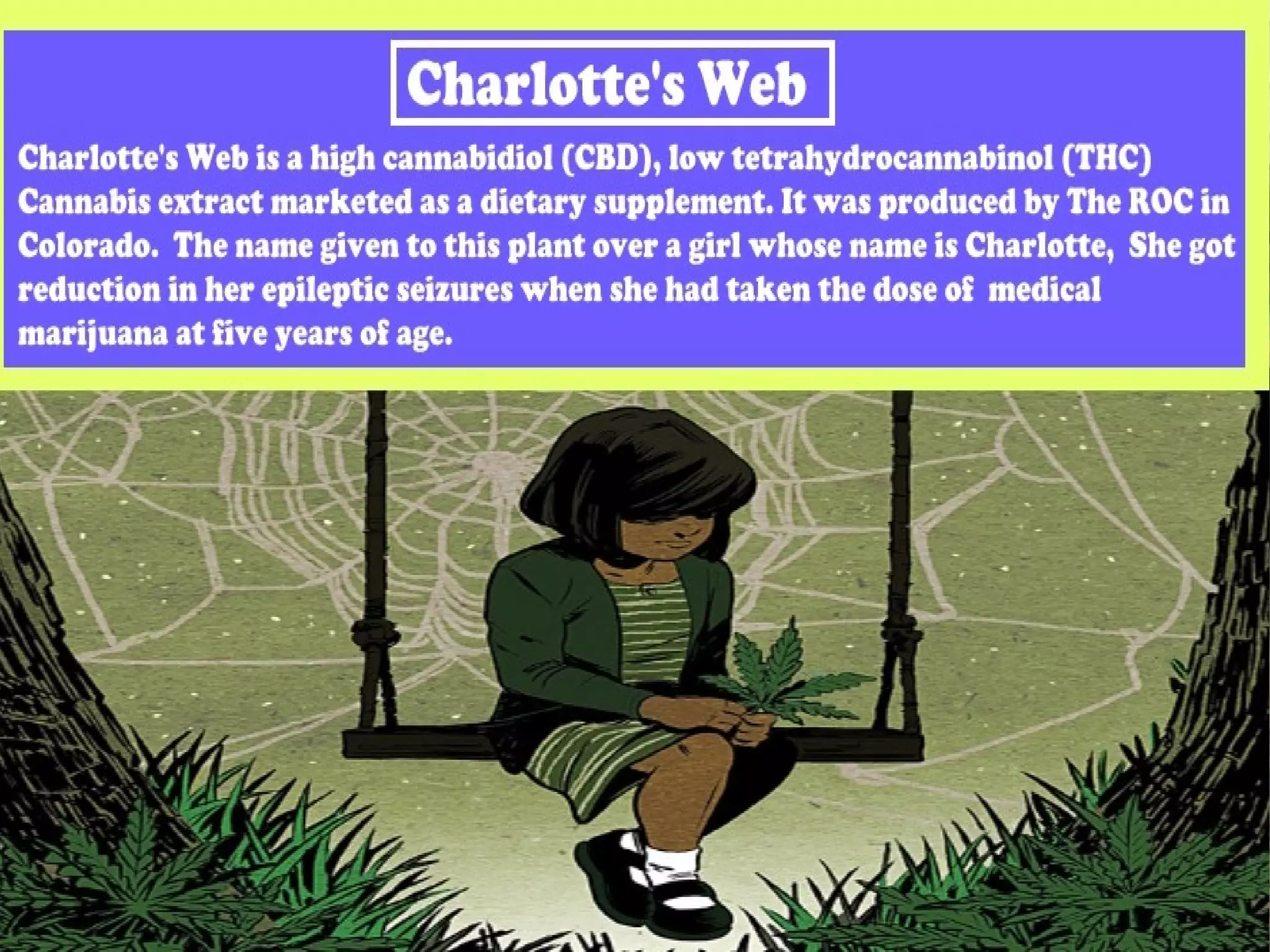 What Is Charlottes Web Oil And Its Benefits? | PPT