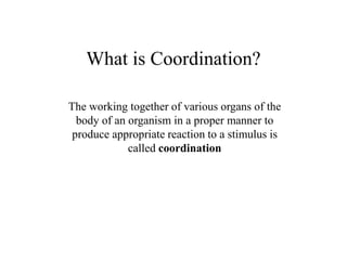 What is co ordination? | PPT