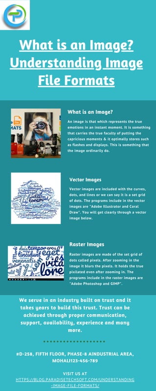 What is an Image? Understanding Image File Formats | PDF