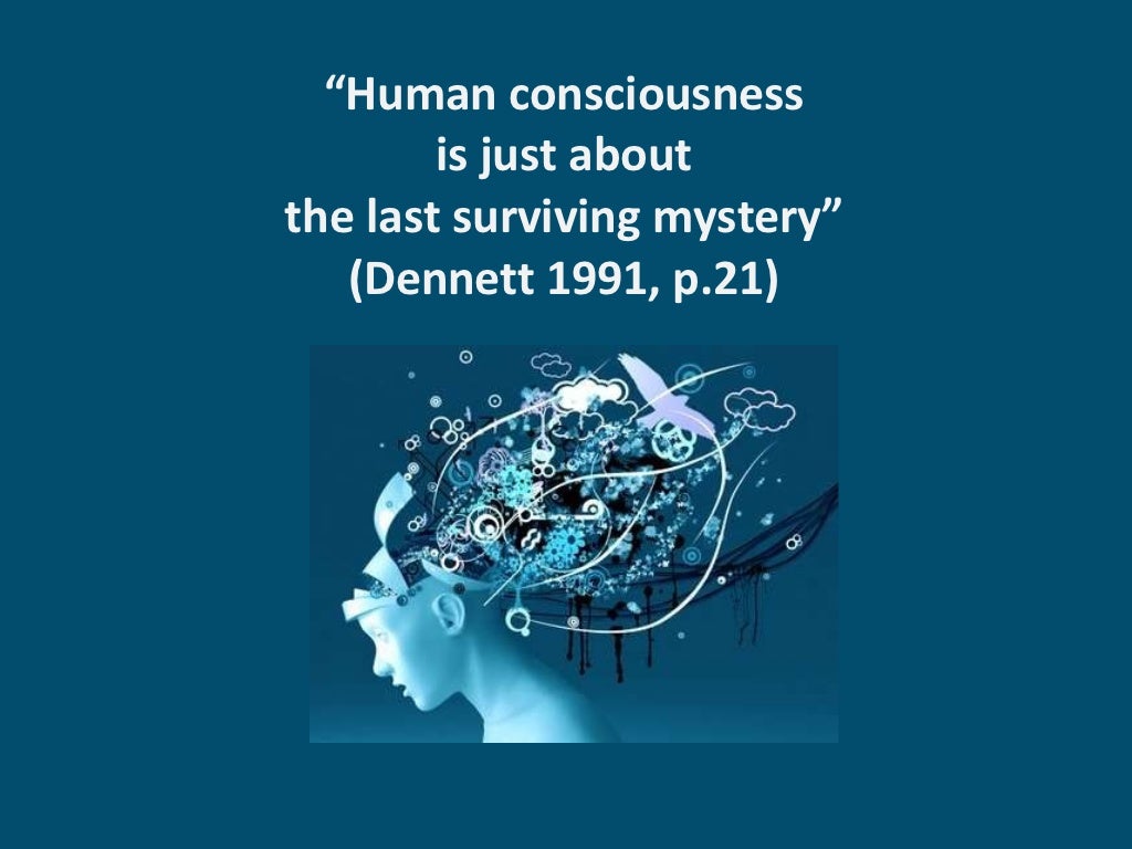 What is consciousness?