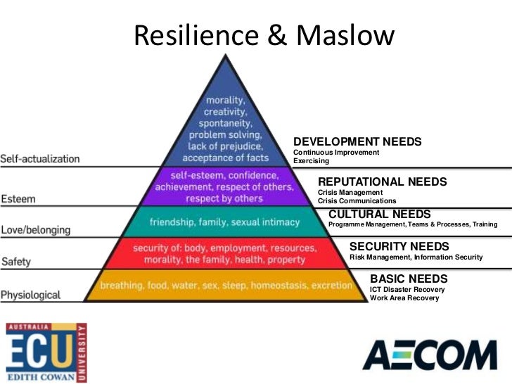 What Is Corporate Resilience