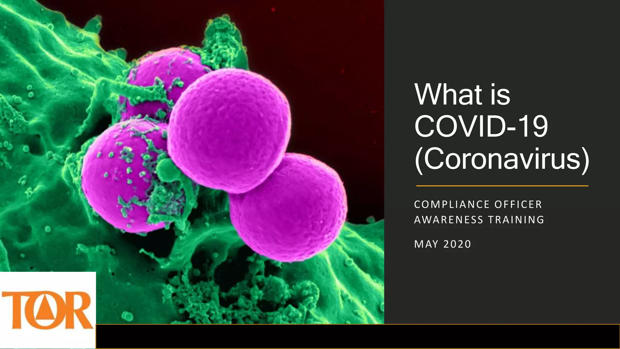 What is covid 19 | PPTX