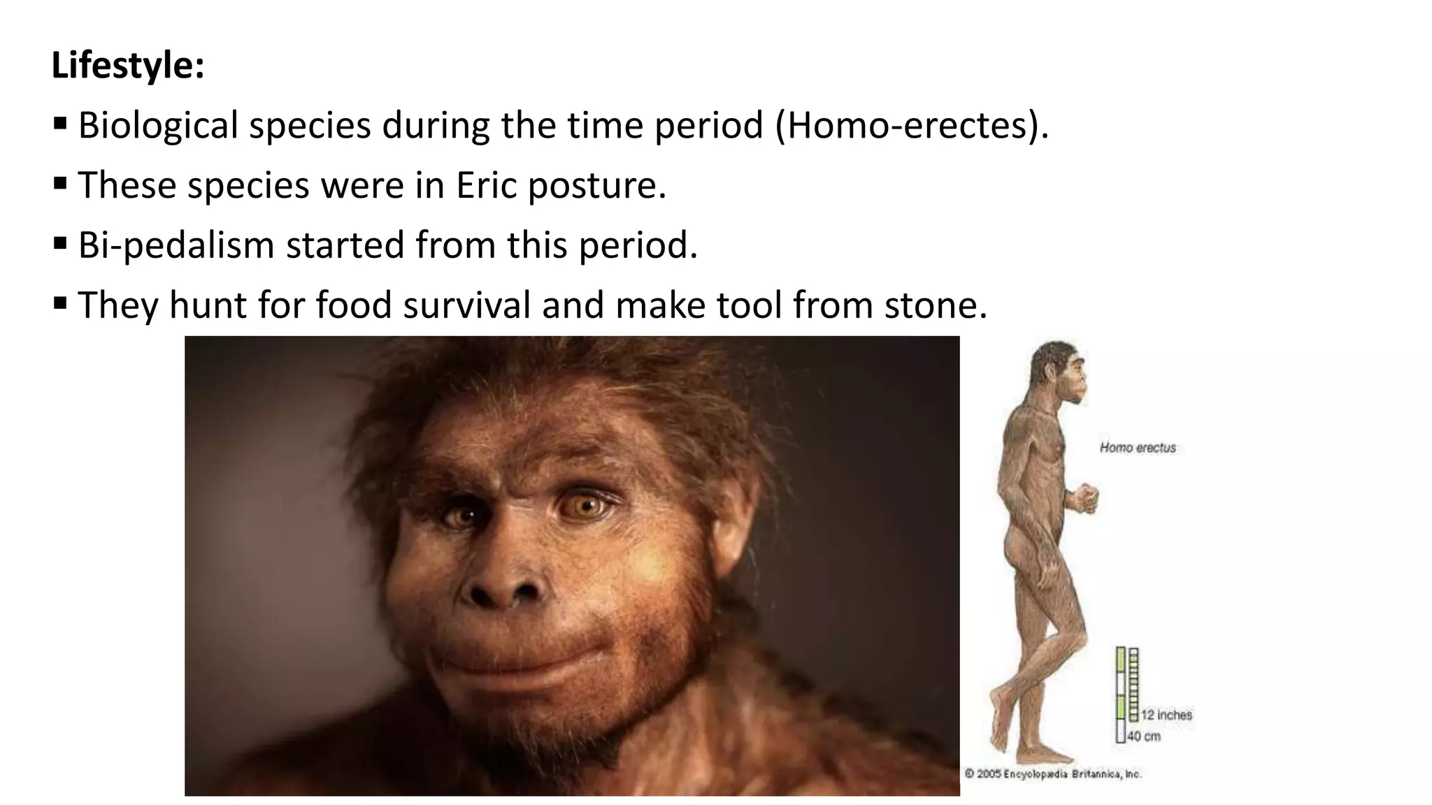 What is culture and brief history of cultural evolution? | PPT