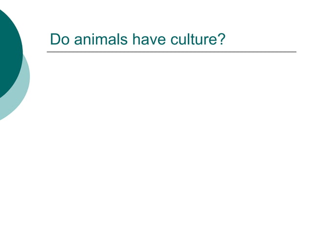 What is culture lesson 1 | PPT | Educational Assessment | Education