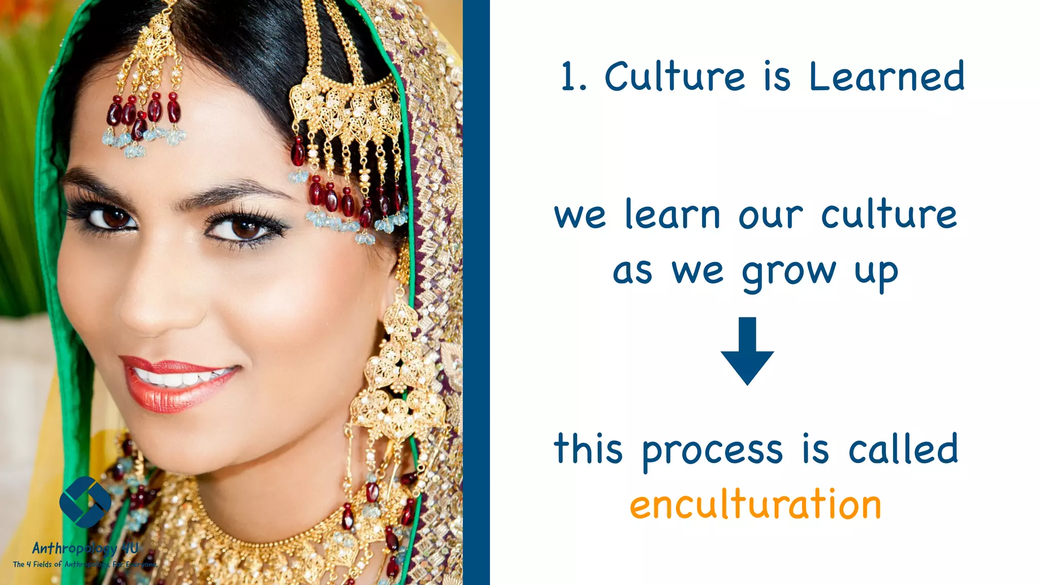 Anthropological Concepts: What is Culture? | PDF