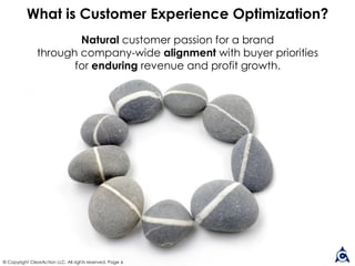 What is Customer Experience? | PDF