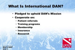 What Is Dan | PPT