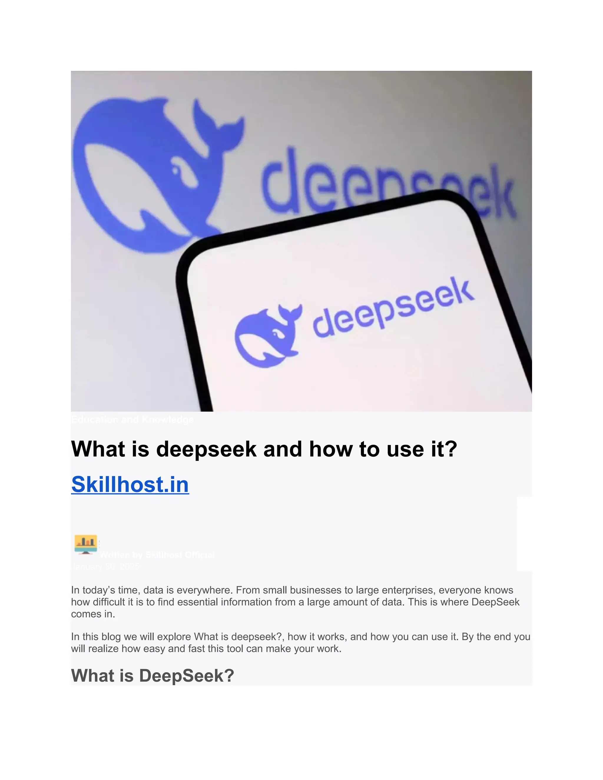 What is deepseek and how to use it know on skillhost | DOCX
