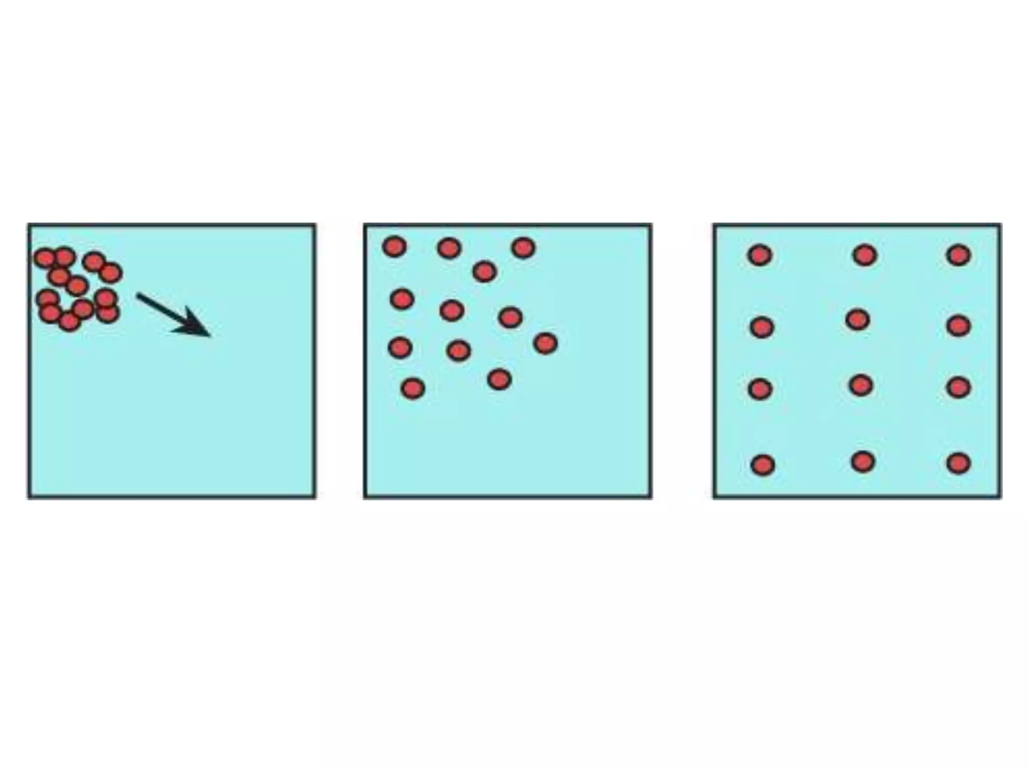 What is diffusion | PPTX