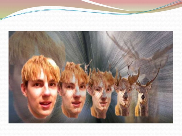 What is Digital Morphing and Its Techniques | PPTX