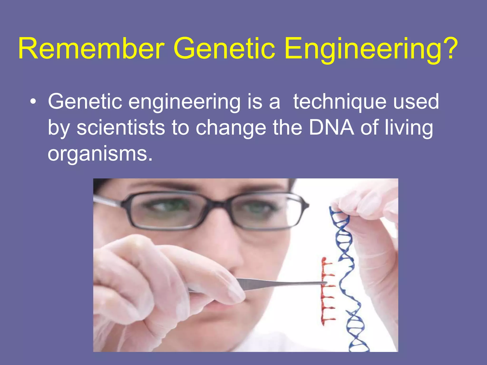 What is DNA.ppt