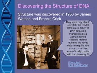 What is DNA.ppt