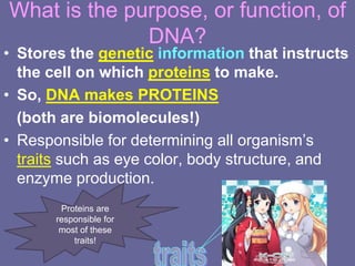 What is DNA.ppt