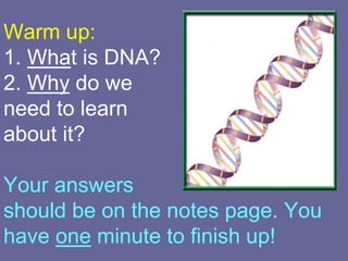 What is DNA.ppt