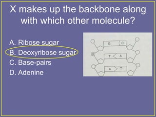 What is DNA.ppt