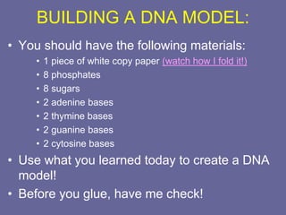 What is DNA.ppt