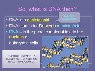 What is DNA.ppt