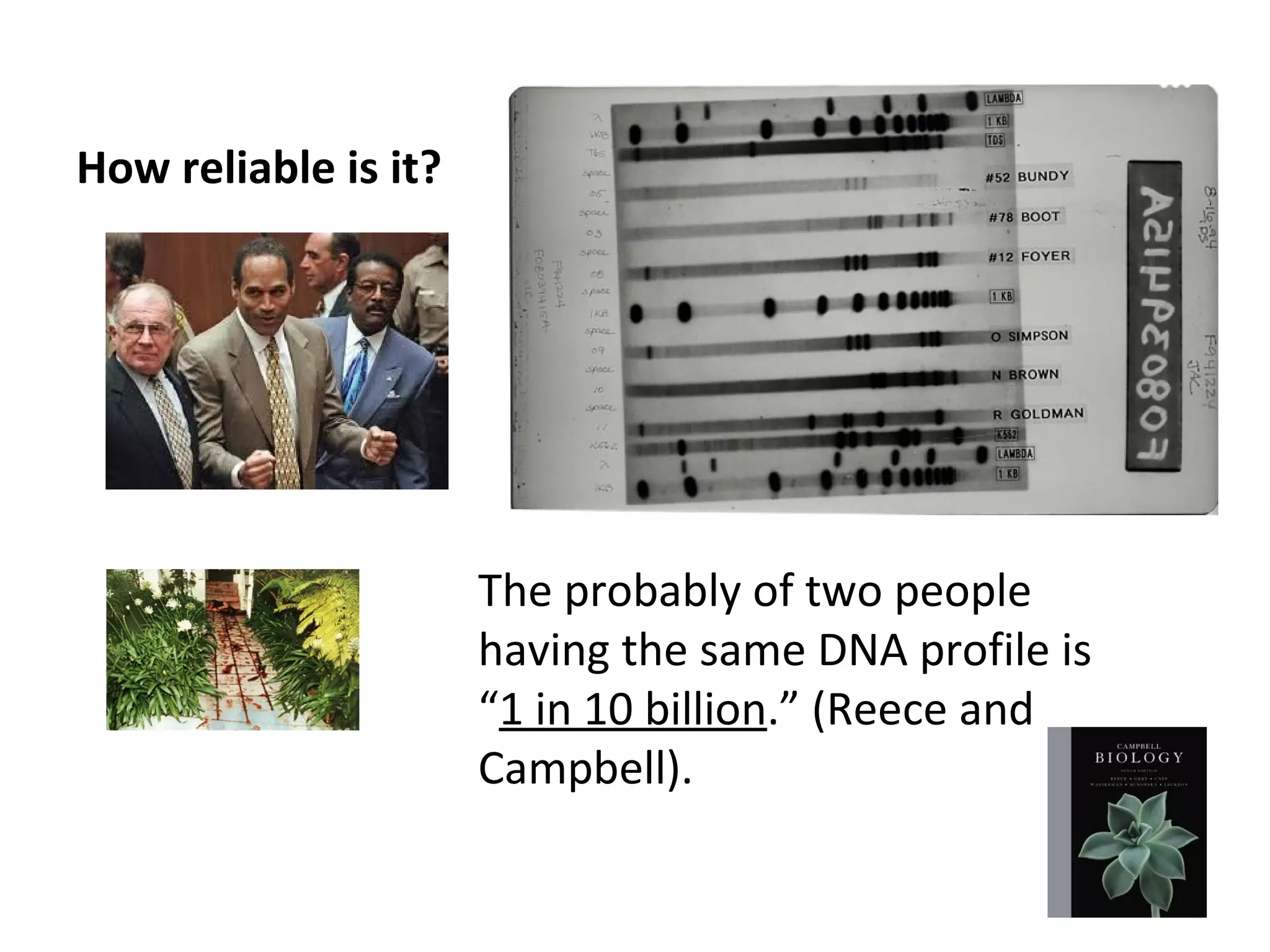 What is DNA fingerprinting? | PPT