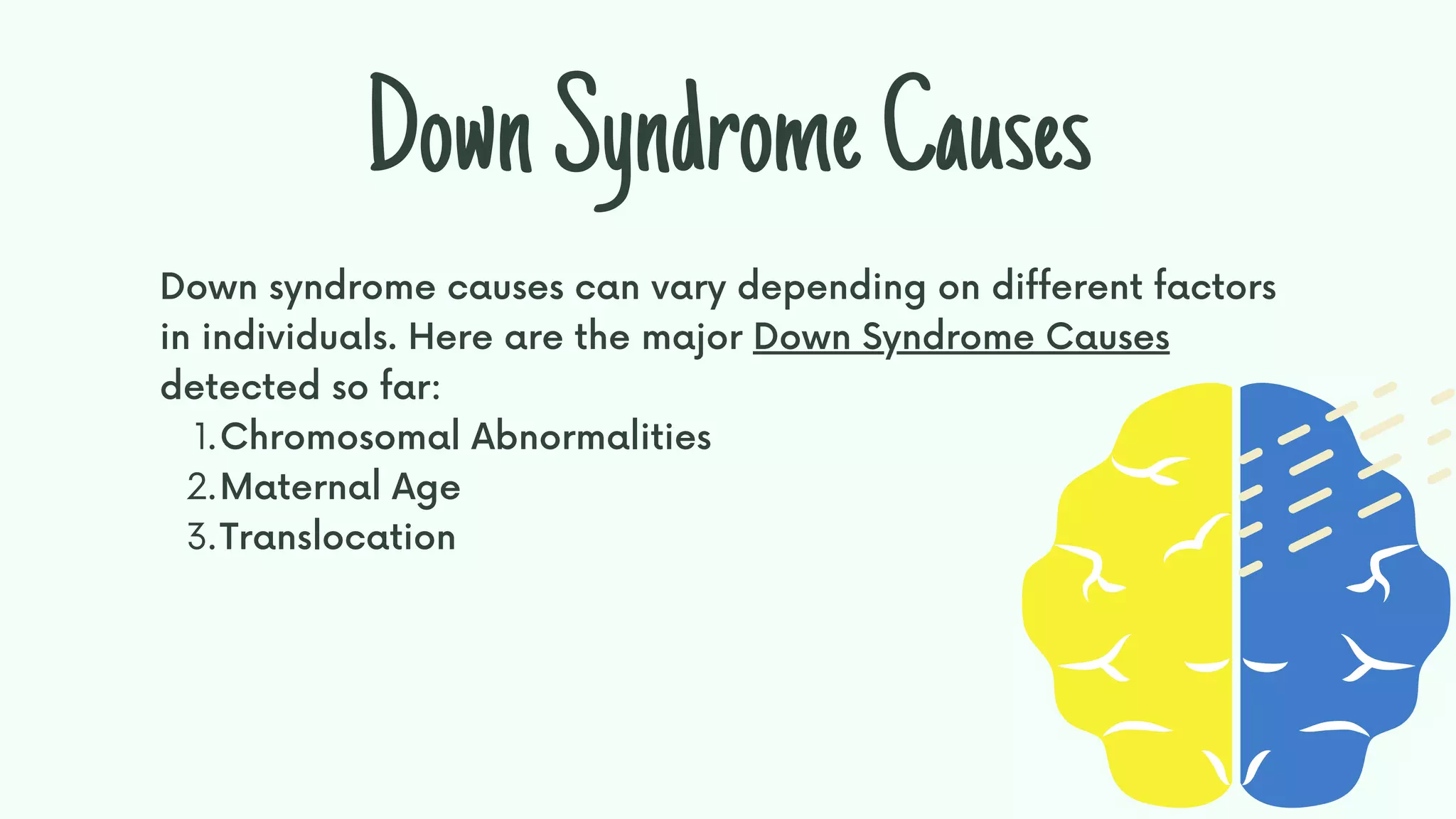 What is Down Syndrome? Causes, Symptoms and Treatment | Solh Wellness | PDF