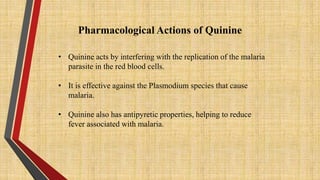 What Is Drug Quinine / chemistry presentation.pptx