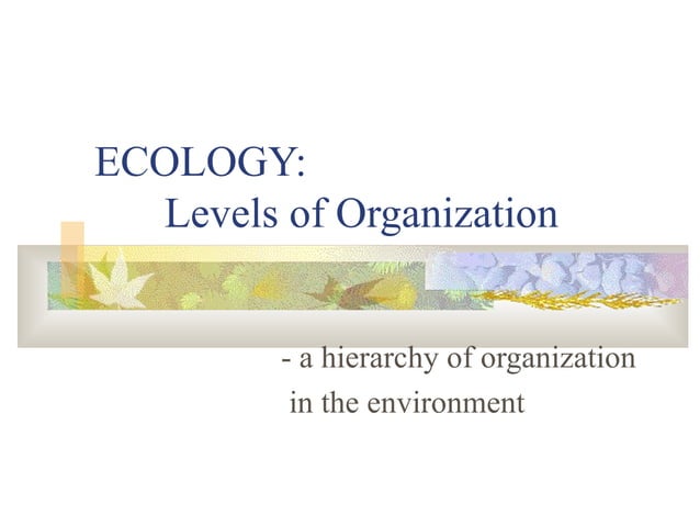 What is ecology | PPT