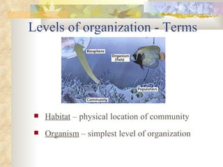 What is ecology | PPT