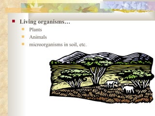 What is ecology | PPT