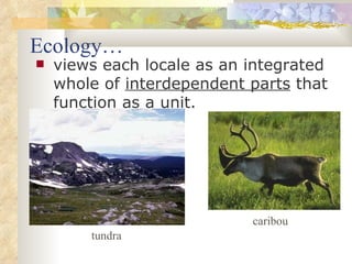 What is ecology | PPT