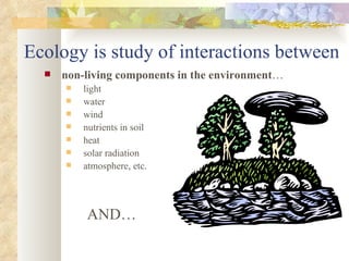 What is ecology | PPT