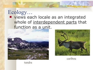 What is ecology | PPT