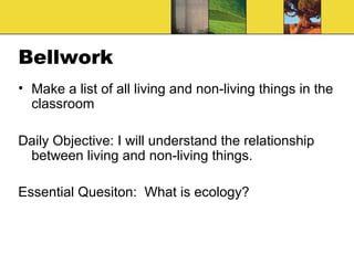 What is ecology | PPT