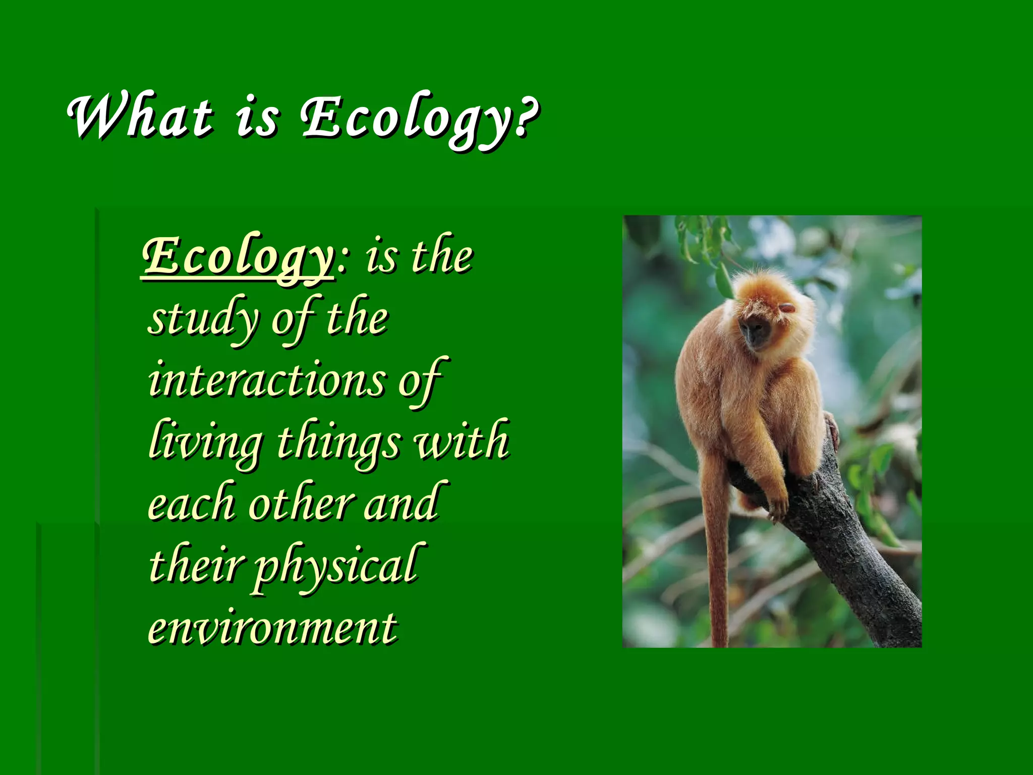 What is ecology 2012 | PPT