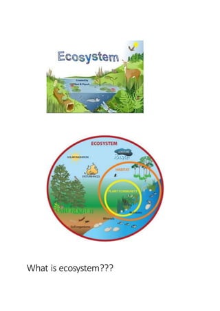 Ecosystem Diagram For Kids