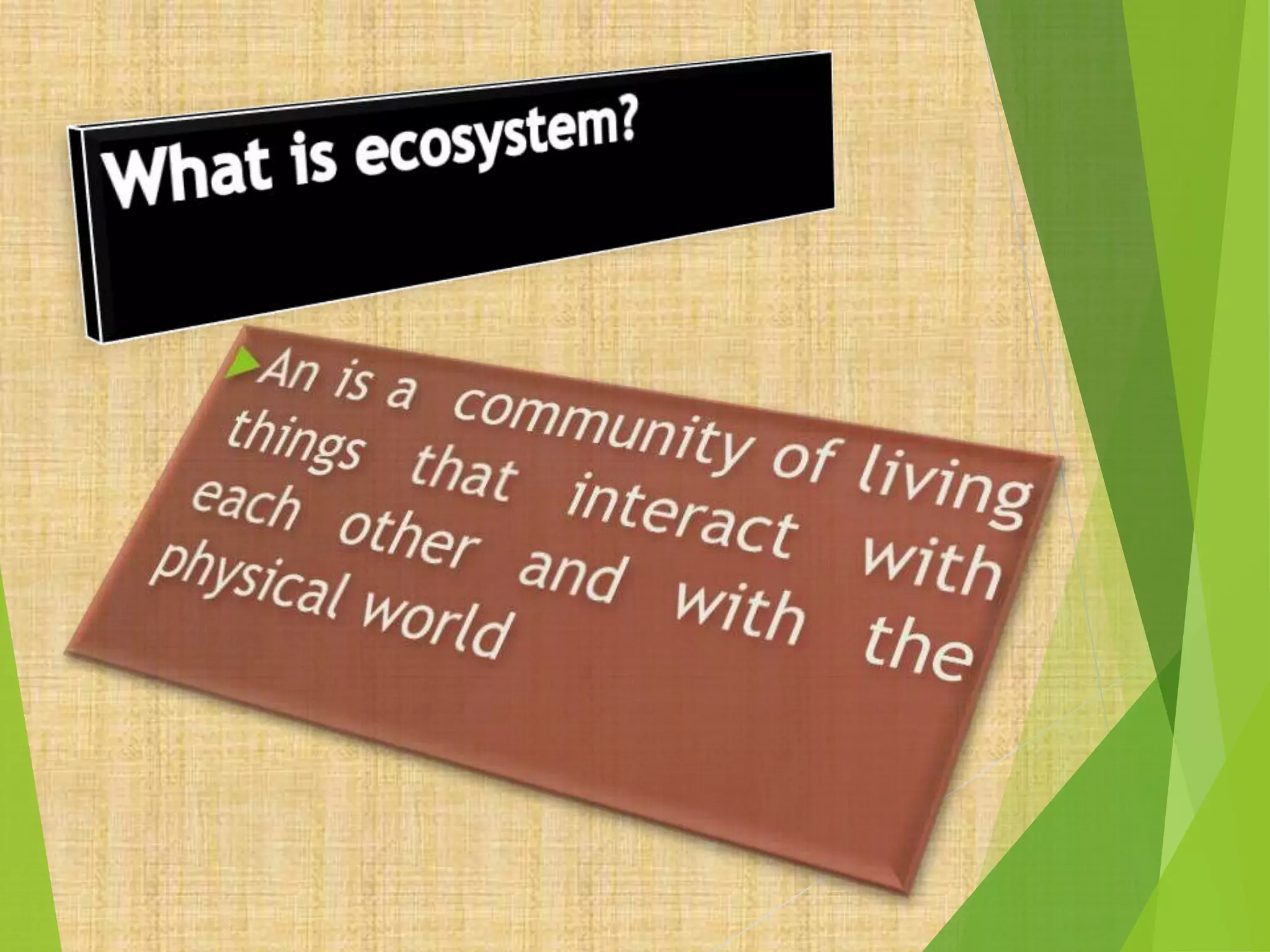 What is ecosystem | PPT