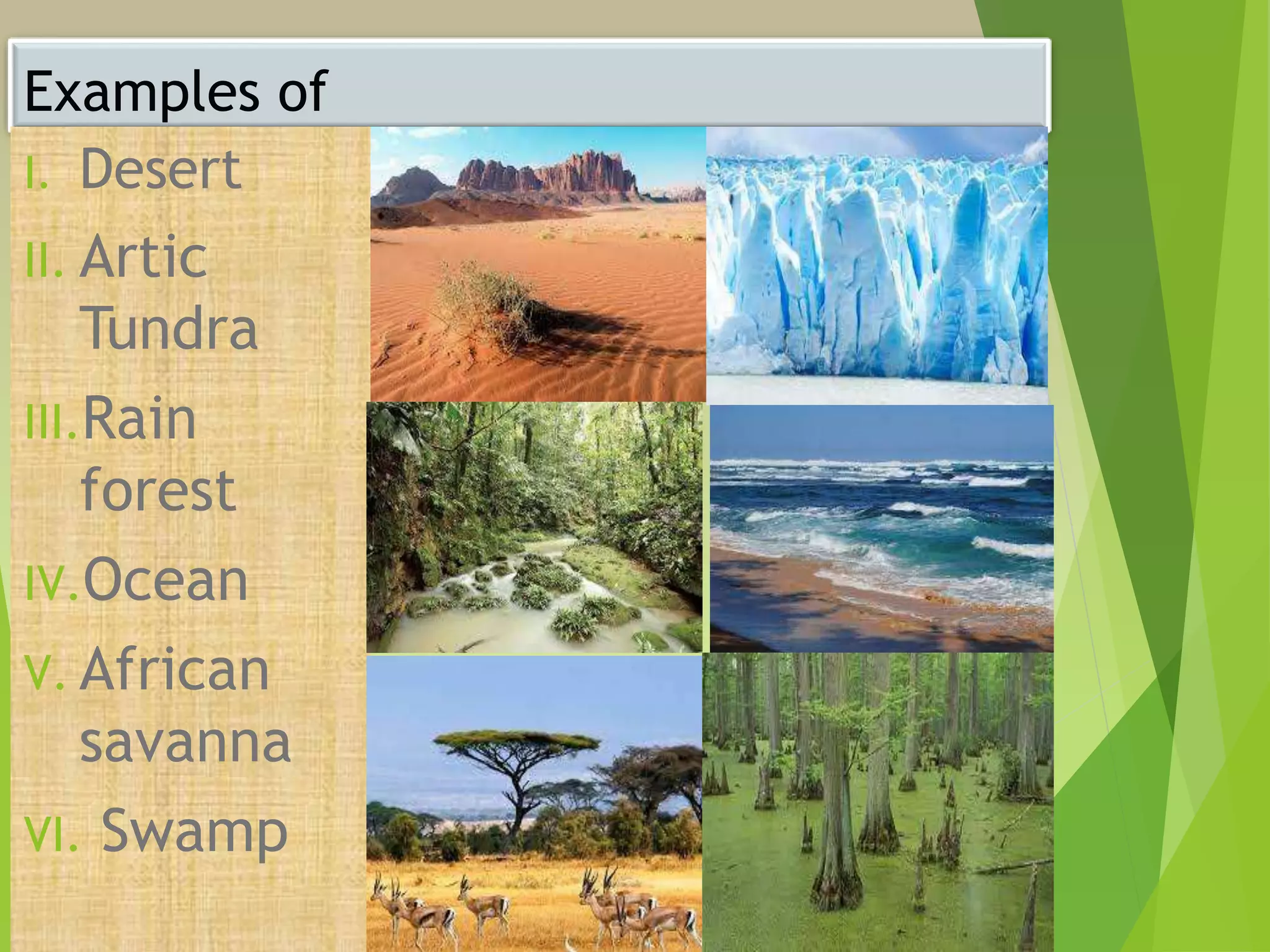 What is ecosystem | PPT