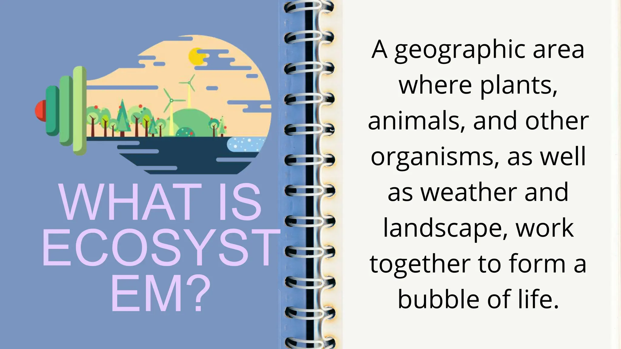 Discover what is ecosystem and its component_.pptx