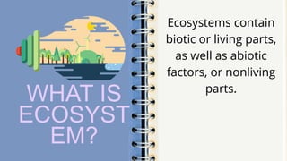 Discover what is ecosystem and its component_.pptx