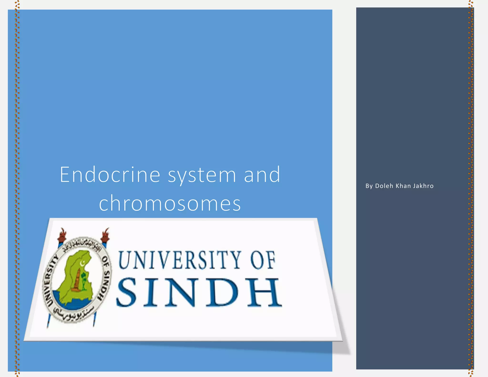 What is endocrine system in human body | PPT
