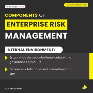 What is Enterprise Risk Management (ERM) | PDF