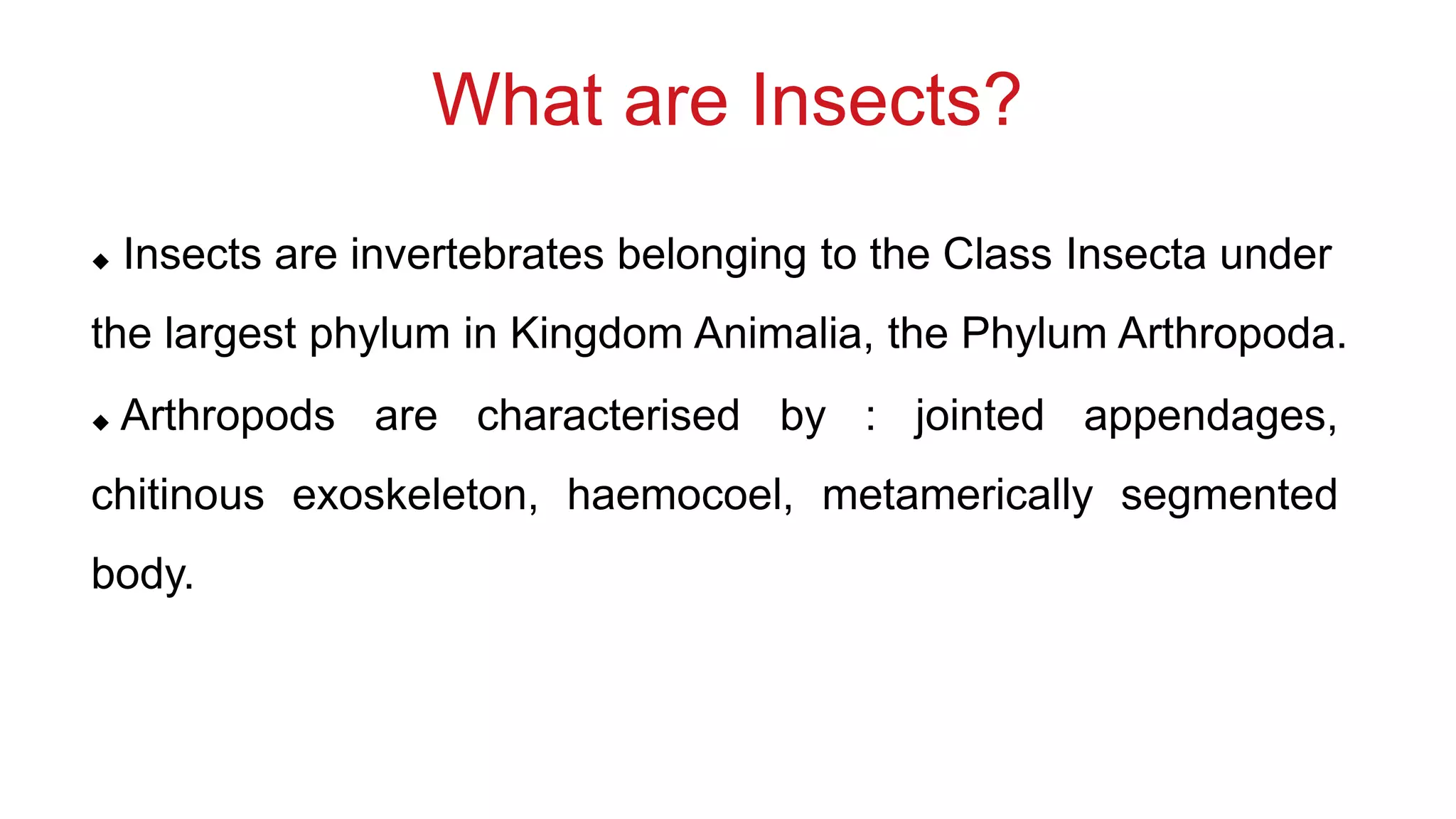 What is entomology? | PPT