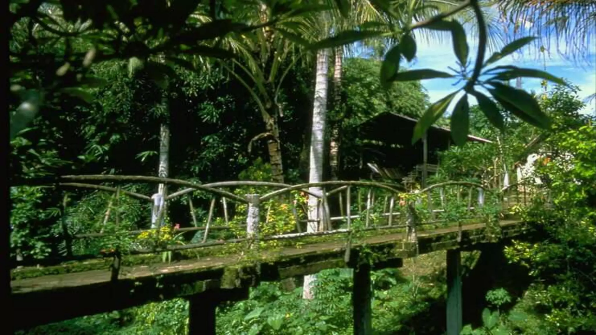 What is Environment? Types and components of environment. | PPTX