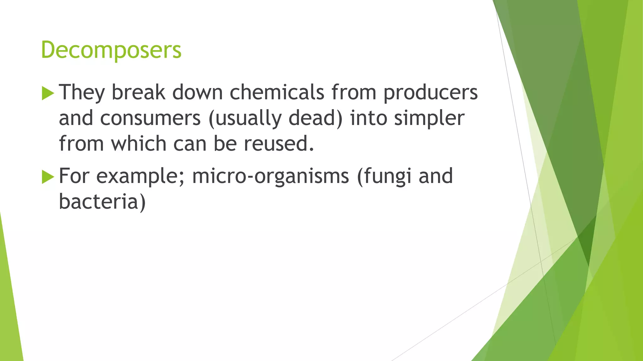 What is Environment? Types and components of environment. | PPTX