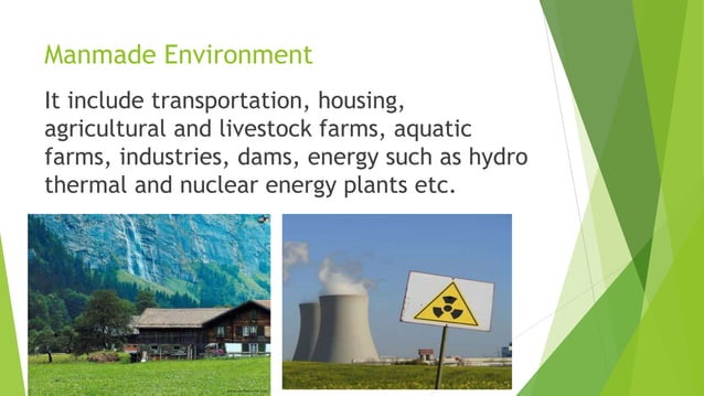 What is Environment? Types and components of environment. | PPTX