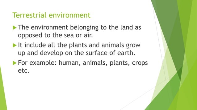 What is Environment? Types and components of environment.
